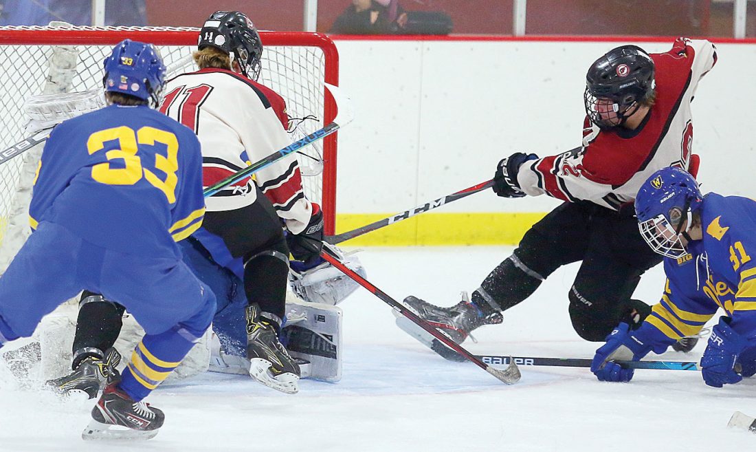 Artz brothers ignite Fairmont Area’s OT hockey win | News, Sports, Jobs ...